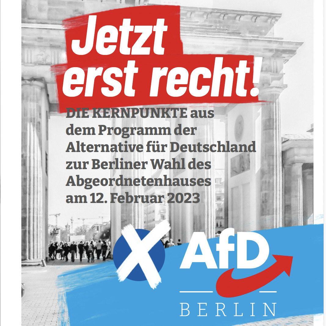 Flyer "Kernpunkte AfD Berlin" - AfD Bezirksverband Reinickendorf
