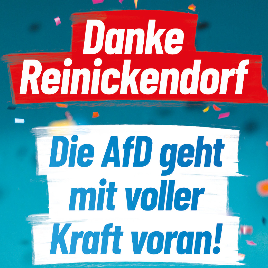 Flyer "Danke Reinickendorf" - AfD Bezirksverband Reinickendorf